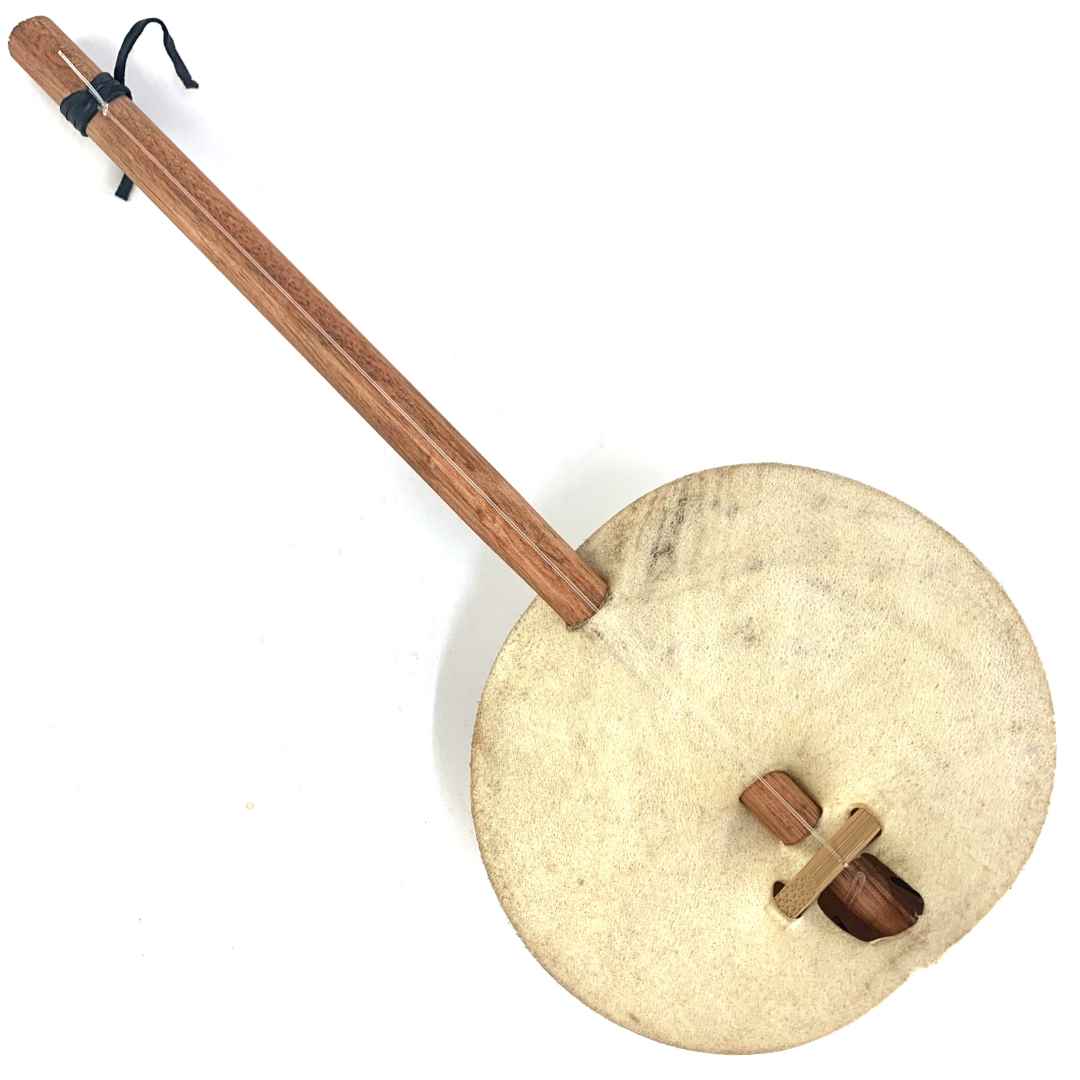 Discover the Kontigi - Niger's Unique Percussive Fiddle